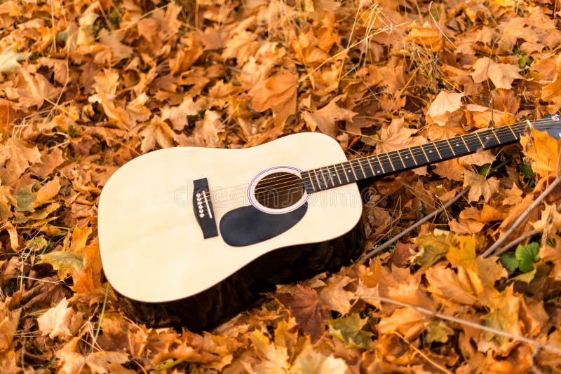 Guitar on autumn leaves stock photo. Image of season - 46560826