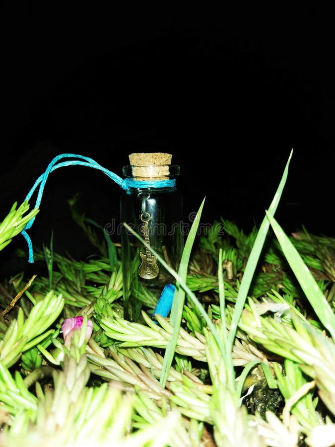 Guitar chain glass jar stock image. Image of leaf, vegetable - 206487069