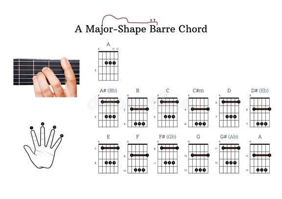 A-major Shape Barre Chord for Guitar Beginners Stock Photo - Image of ...