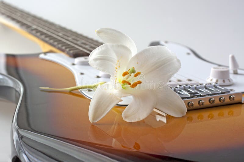 Guitar and flower stock image. Image of contrast, beauty - 14683669