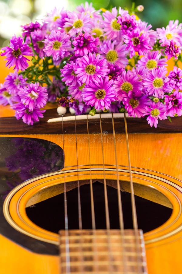 Guitar and flower stock image. Image of feeling, string - 49770199