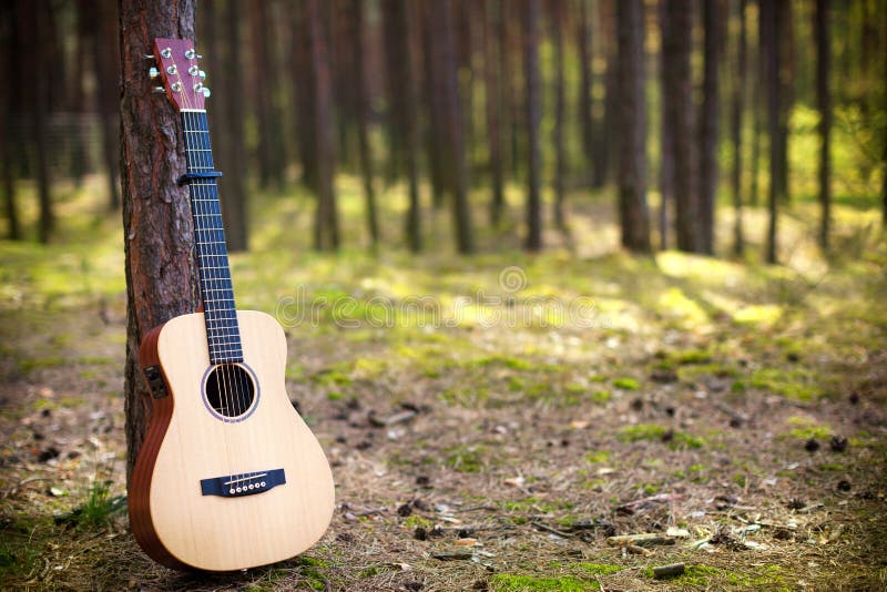 Guitar in forest stock image. Image of classical, instrument - 70955895
