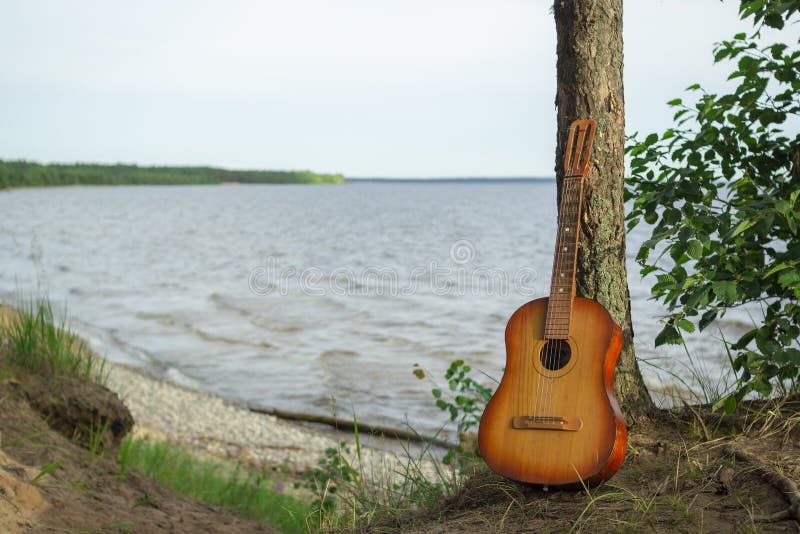 Classical Guitar Leaning Against Tree Stock Photos - Free & Royalty ...