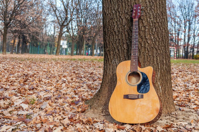Man and Guitar Leaning on a Tree in Autumn Park Stock Image - Image of ...