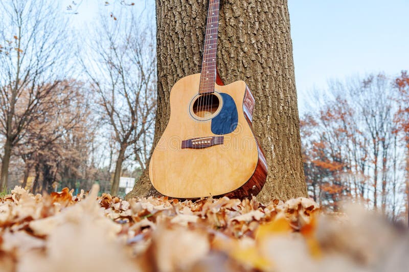 Guitar Leaning on a Tree in Autumn Park on Cloudy Day Stock Image ...