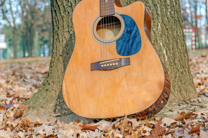 Guitar Leaning on a Tree in Autumn Park on Cloudy Day Stock Image ...