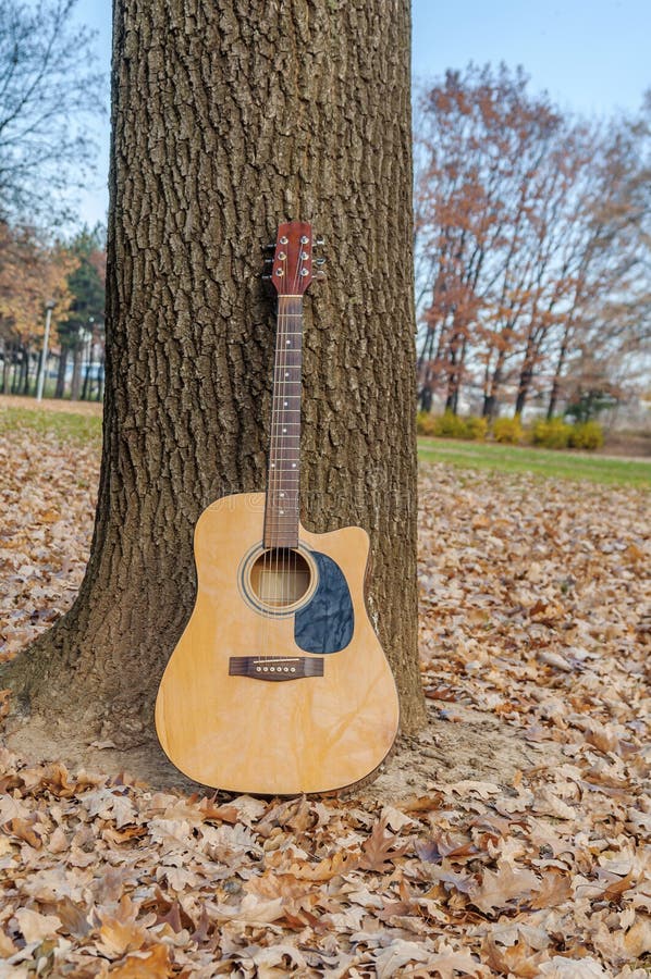 Guitar Leaning Tree Autumn Park Cloudy Day Stock Photos - Free ...