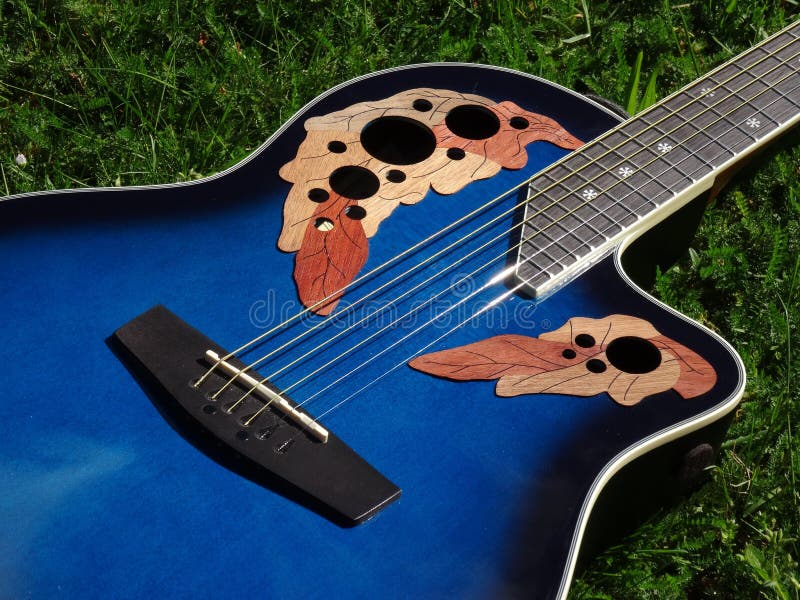 String Instrument, Guitar, Plucked String Instruments, Musical ...