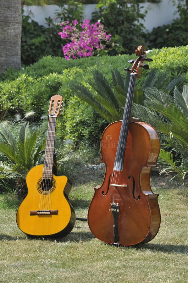 Guitar nd cello stock image. Image of sound, instrument - 23654773