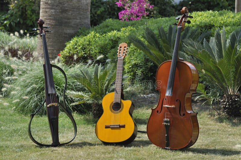 Nd Cellos Stock Photos - Free & Royalty-Free Stock Photos from Dreamstime