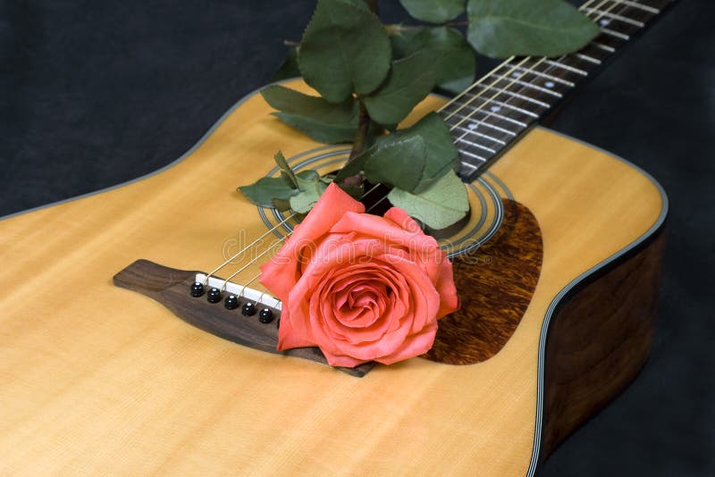 Guitar and rose stock image. Image of studio, instrument - 14961665