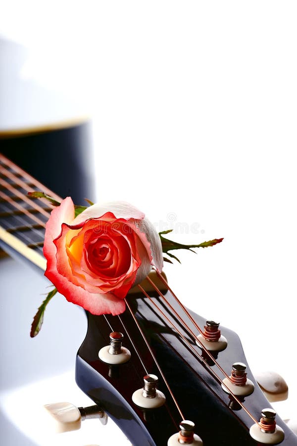 Red rose and jazz guitar stock image. Image of flower - 16075709