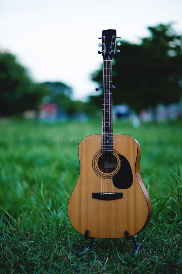 Guitar, Stringed Musical Instrument, Placed in the Grass, Classical ...