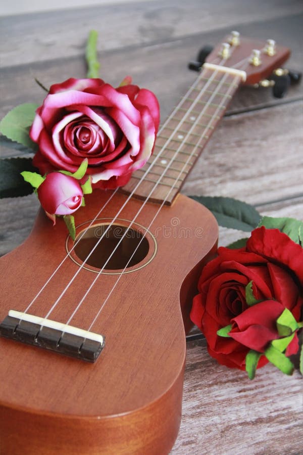 Guitar with Strings and Red a Rose Stock Image - Image of feeling ...