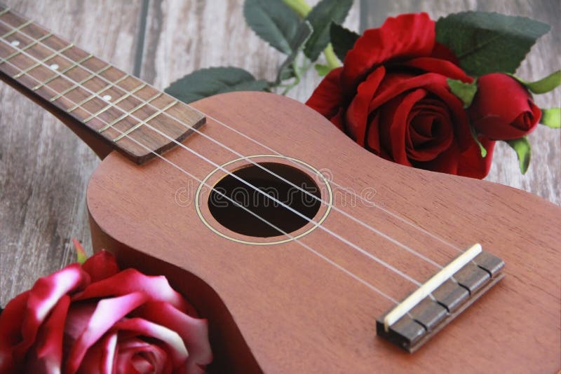 Guitar with Strings and Red a Rose Stock Image - Image of rehearsal ...
