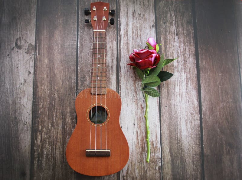 Guitar with Strings and Red a Rose Stock Photo - Image of guitar, chord ...