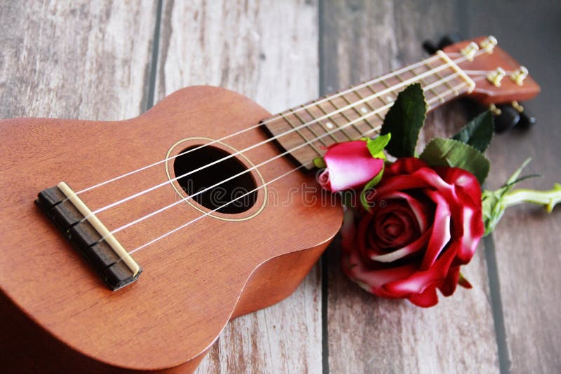 Guitar with Strings and Red Rose Stock Image - Image of nature, guitar ...