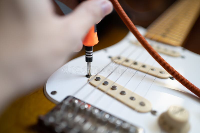 Guitar Technician Setting the Height of Guitar Pickup Stock Image ...