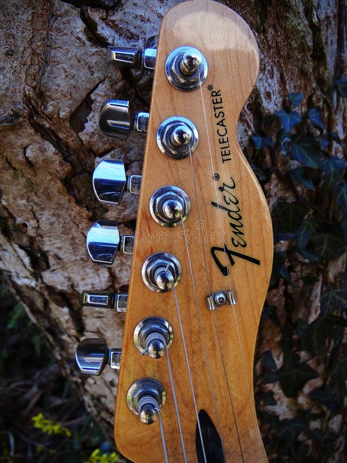 Guitar and tree editorial photo. Image of tree, telecaster - 176757706