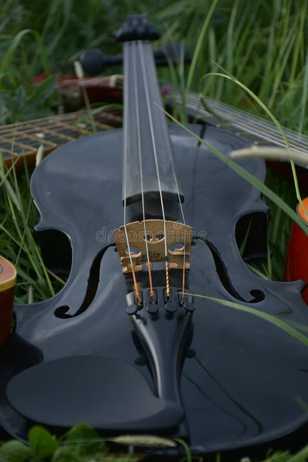 Musical Instruments on the Grass, Stock Image - Image of guitar ...