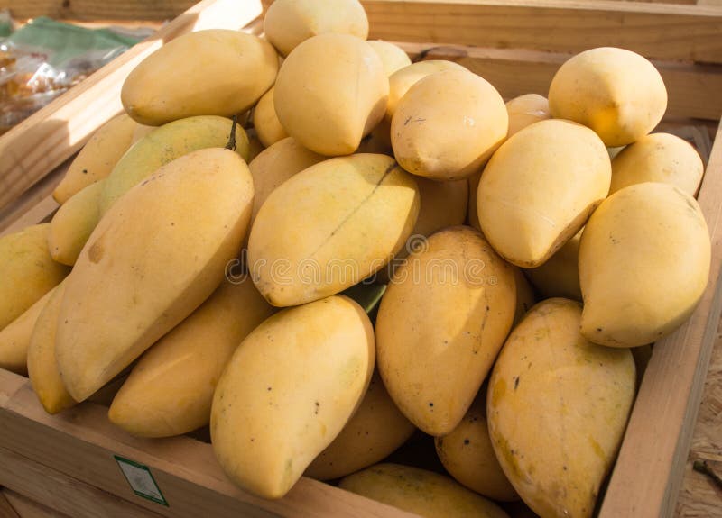 Den Söta Mango Med Blandningen För Klibbiga Ris Med Kokosnöten Mjölkar ...