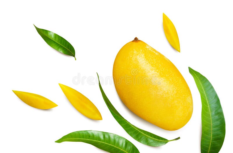 Gul Mango Med Sidor Och Skiva Som Isoleras P? Vit Bakgrund Med ...