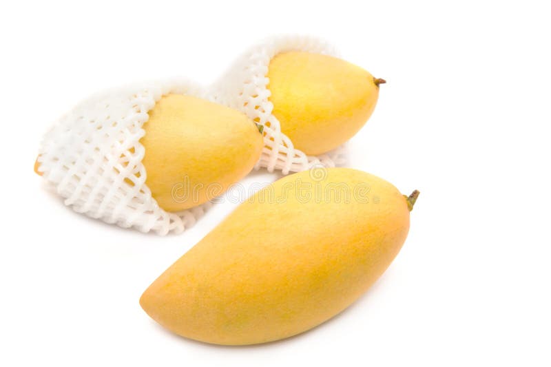 Gul Mango, Isolerad Vit Bakgrund Arkivfoto - Bild av färg, frukt: 176337846