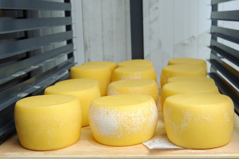 Gul ost på järnhyllor arkivfoto. Bild av matlagning, makro - 42568784