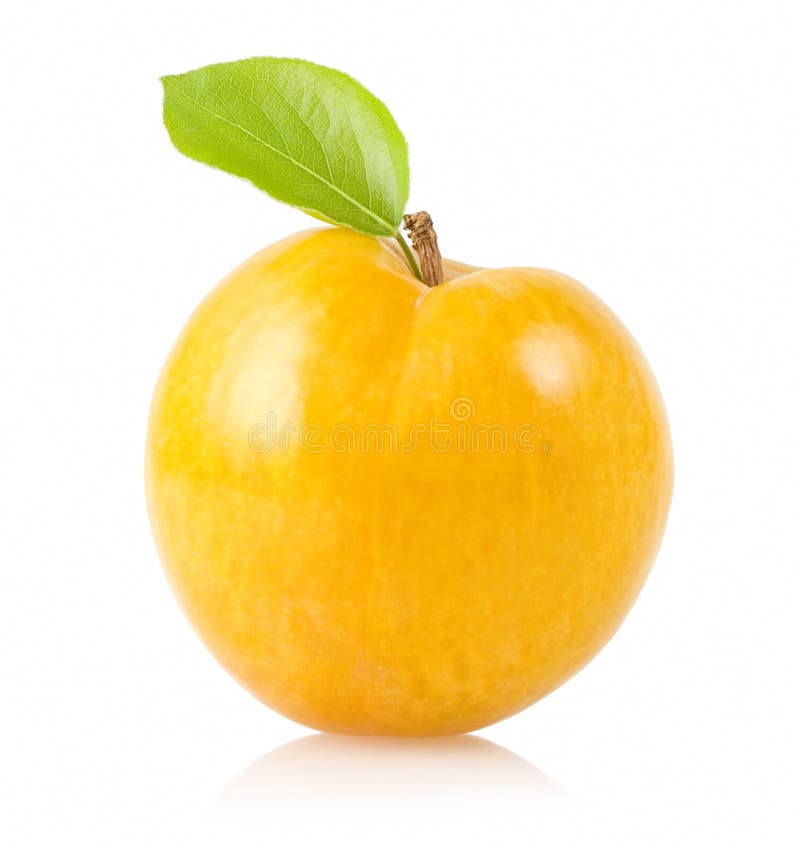 Gul plommon fotografering för bildbyråer. Bild av nytt - 32298461