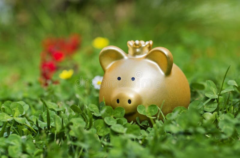 Guld- spargris arkivfoto. Bild av säkerhet, spara, affär - 31428838