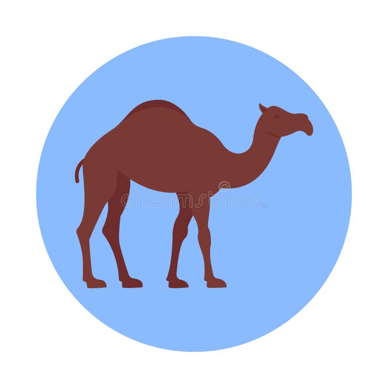 Gulf Camel Stock Illustrations – 127 Gulf Camel Stock Illustrations ...