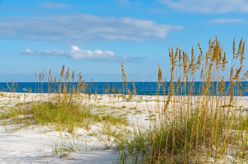 Gulf Coast Scenery stock image. Image of golden, landscape - 45218979