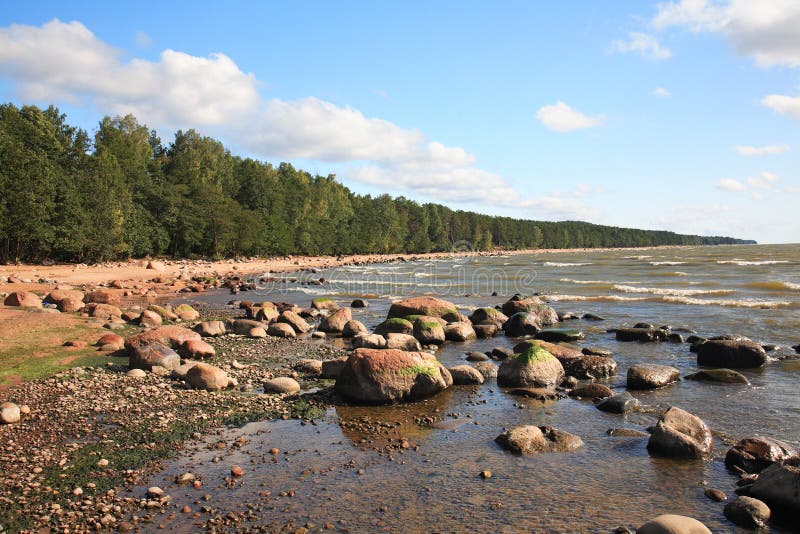 Gulf of Finland, coast stock image. Image of gulf, horizon - 7499885