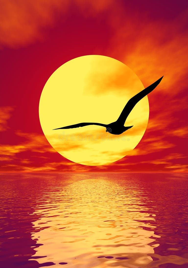 Gull Wing Stock Illustrations – 11,394 Gull Wing Stock Illustrations ...