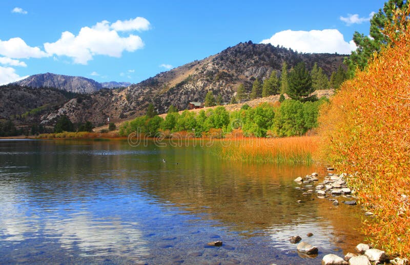 Gull lake stock photo. Image of center, summer, beauty - 61178512