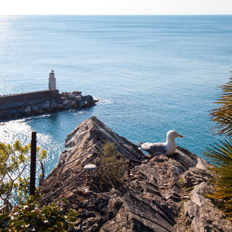 The Gull and the Lighthouse Stock Image - Image of port, holiday: 13295117