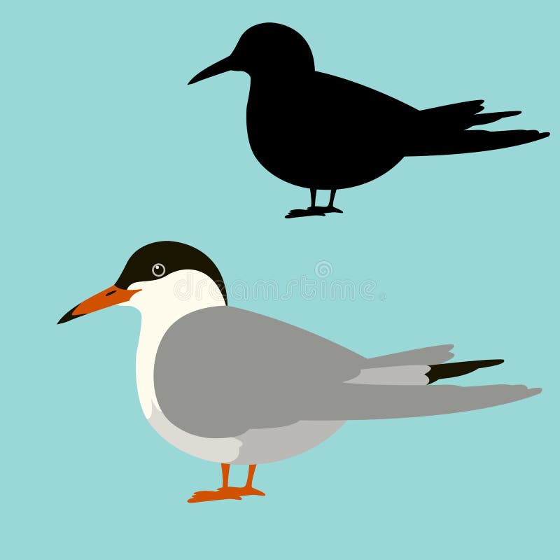 Gull Vector Illustration Flat Style Profile Black Silhouette Stock ...