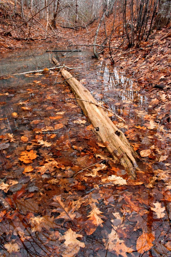 Gully stock photo. Image of colorful, filled, idyllic - 41667248