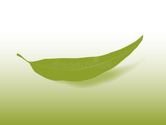 Gum Leaf Stock Illustrations – 3,015 Gum Leaf Stock Illustrations ...