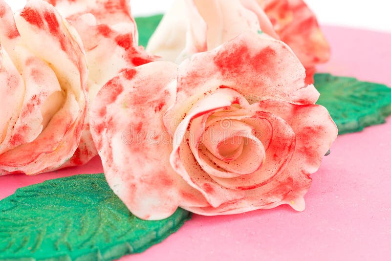 Gum paste stock image. Image of sugar, leaves, cakes - 27589879