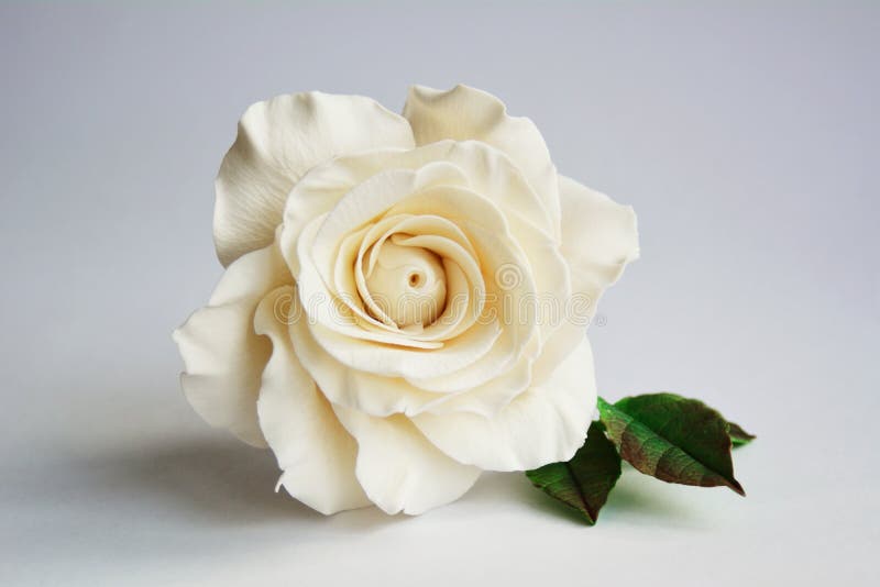Gum paste rose stock photo. Image of petal, flower, craft - 62001156