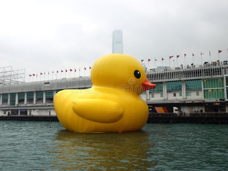 Gummi-Duck Project in Hong Kong Redaktionelles Stockbild - Bild von ...
