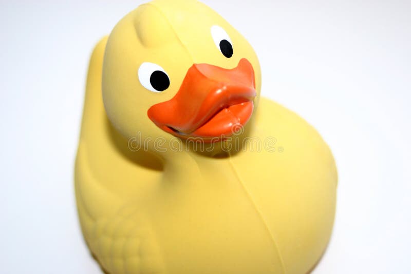Gummiente stockfoto. Bild von gelb, ente, liebling, wanne - 15732954