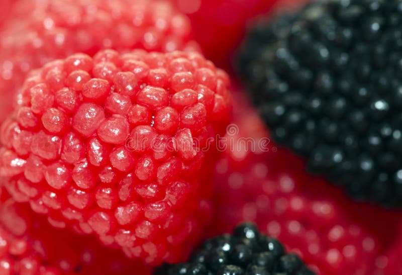 Gummy candy stock image. Image of raspberry, taste, treats - 31922079