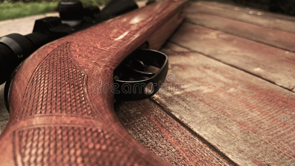 Gun stock image. Image of bullet, hunting, rifle, wood - 54436483