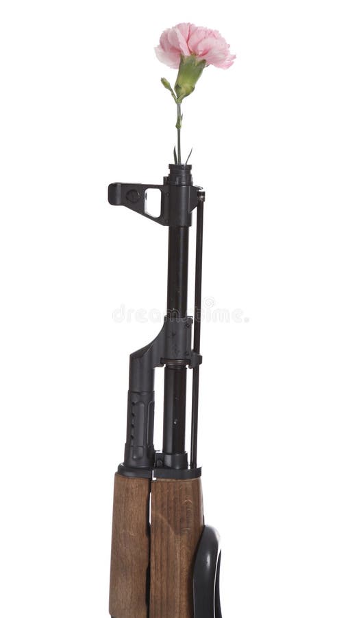 Gun and flower stock photo. Image of target, background - 7071274