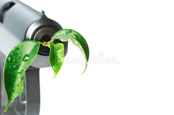 Gun with Green Leaf in Barrel Stock Photo - Image of barrel, drops: 2070108