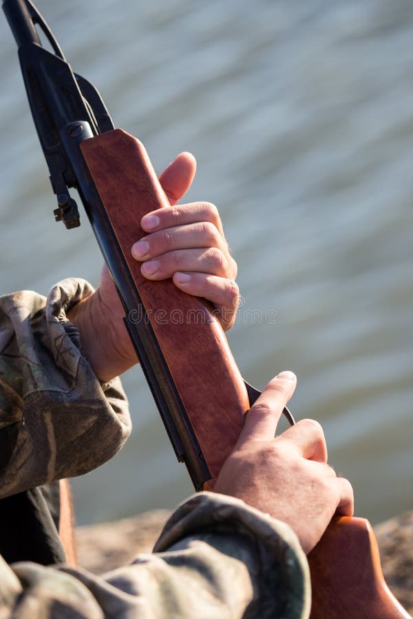The Gun in the Hands of the Hunter Stock Photo - Image of sport ...