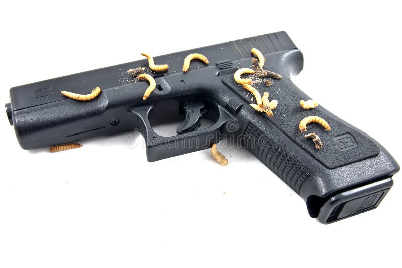 Gun with insects stock photo. Image of murderer, thriller - 12399622
