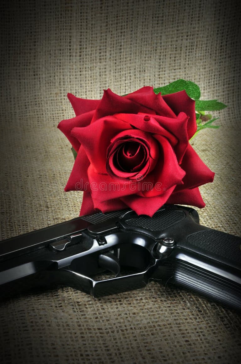 169 Gun Red Rose Stock Photos - Free & Royalty-Free Stock Photos from ...